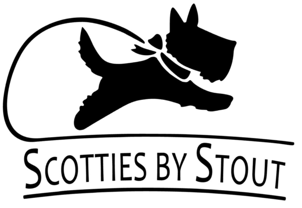 Home [scottiesbystout.com]